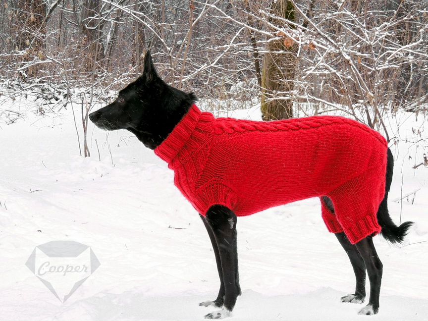 Свитер для собаки (девочки, крупной породы)