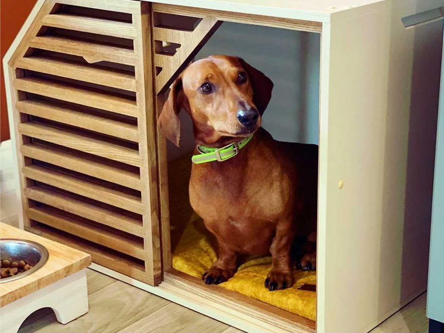 Вольер для Большой собаки