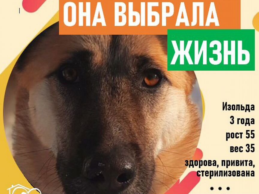 Родилась в сугробе