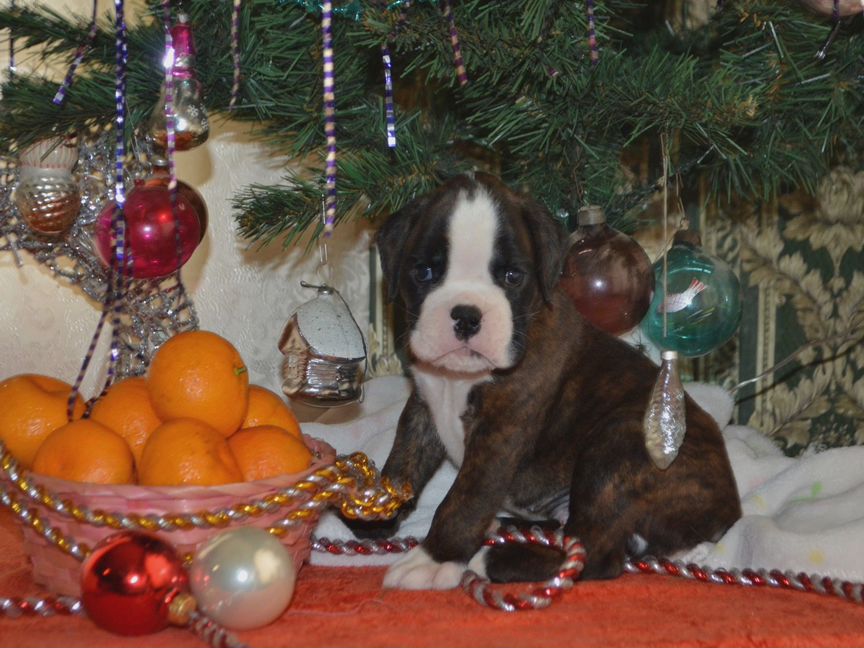 Мальчик очаровашка