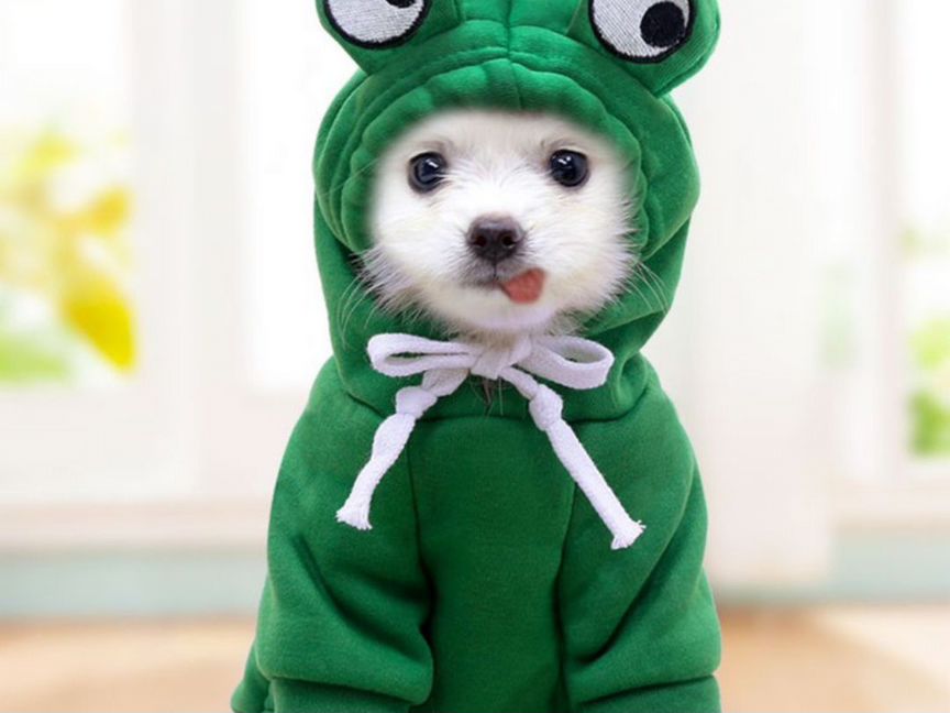 Толстовка Лягушонок