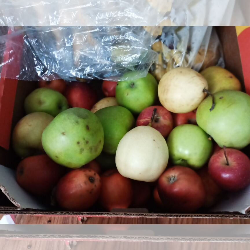 Продукты на корм для животных Красноярск