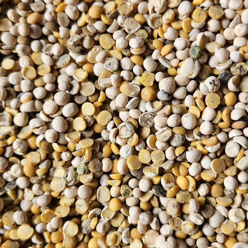 Горох кормовой 23 тонны цена с доставкой