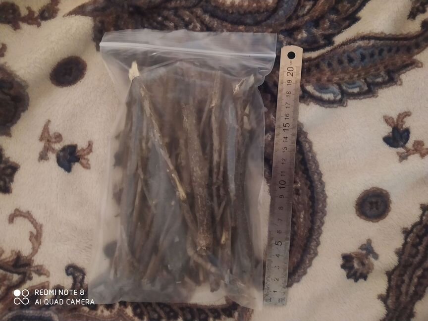 Ветки для грызунов смородина