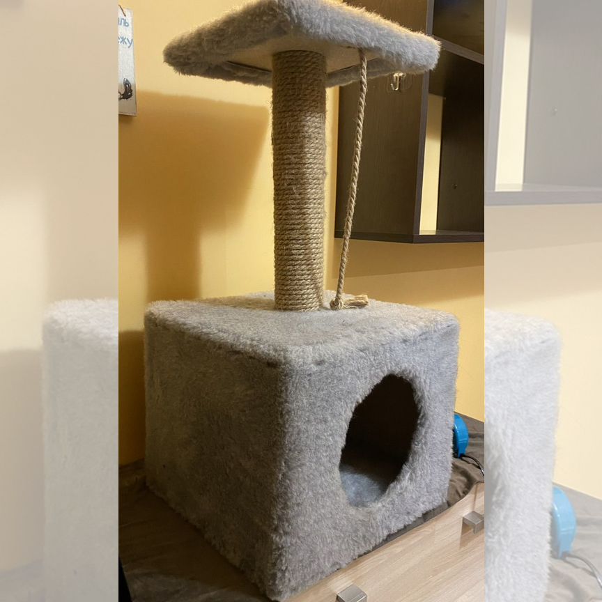 Когтеточка с домиком