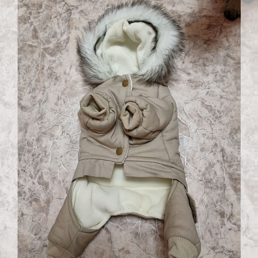 Одежда для маленьких собак