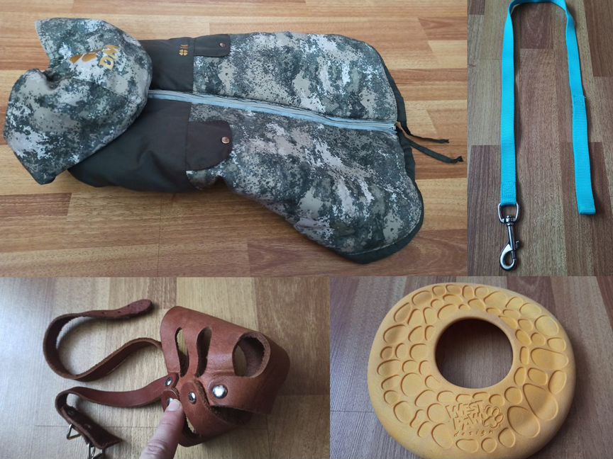 Товары для собак и кошек