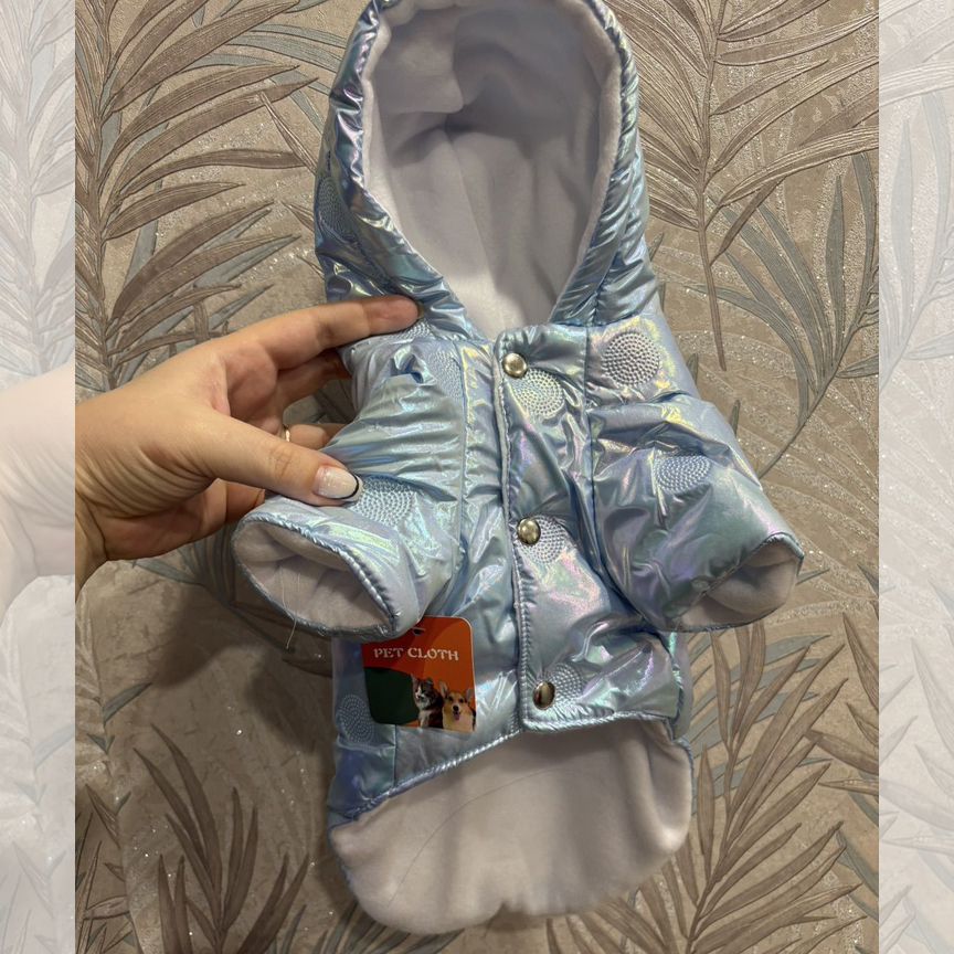 Одежда для собак