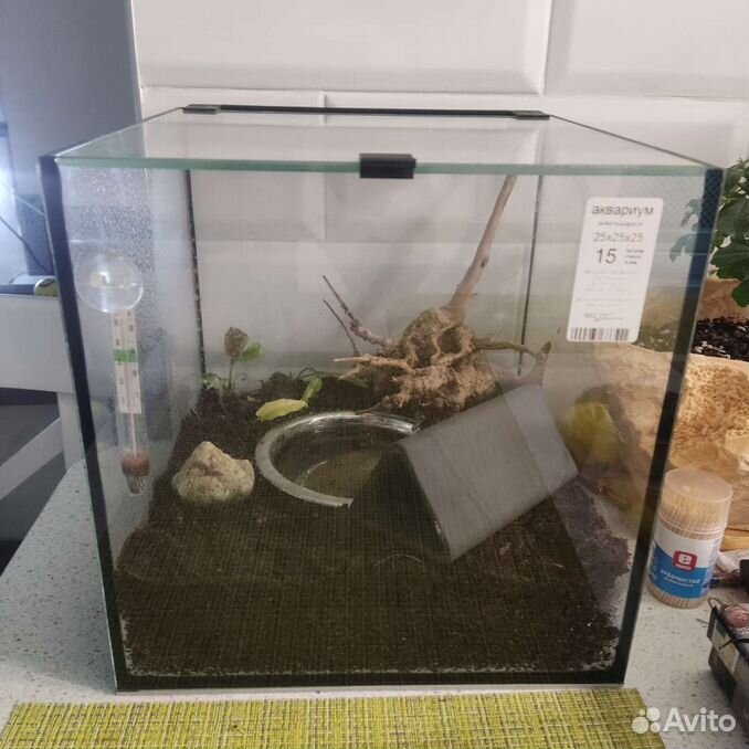 Террариум с крабом