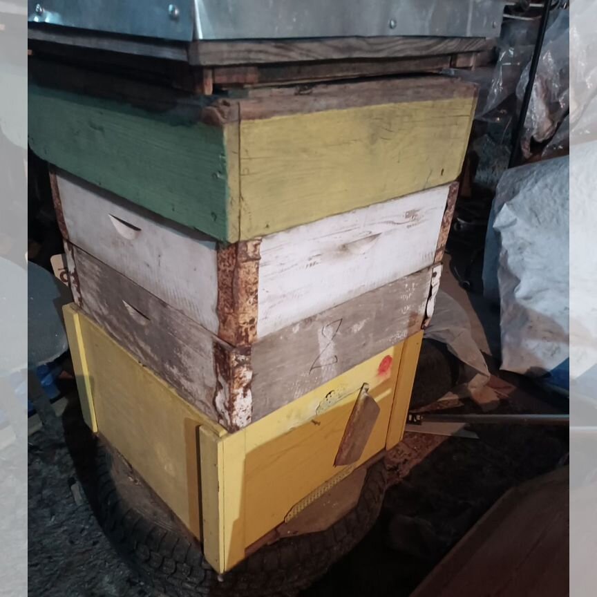 Продам ульи