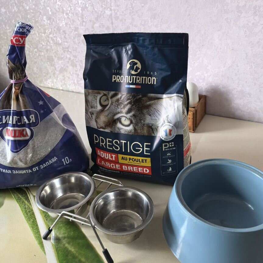 Корм для кота
