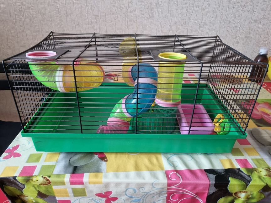 Клетка для грызунов бу