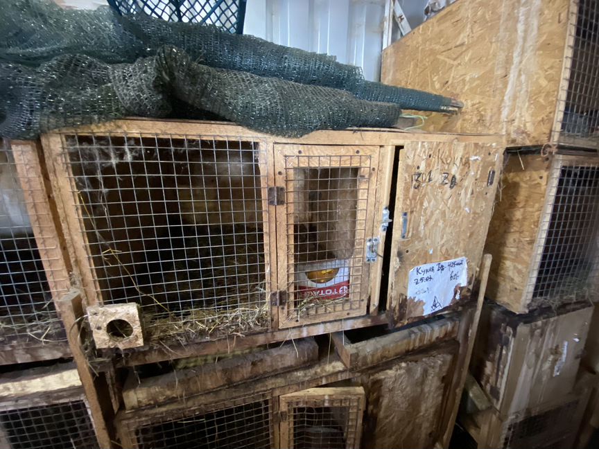 Клетки для кроликов бу