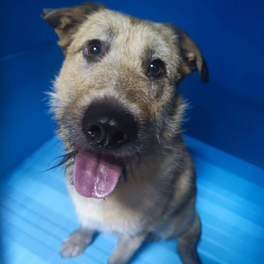 Гриню бросили и уехали