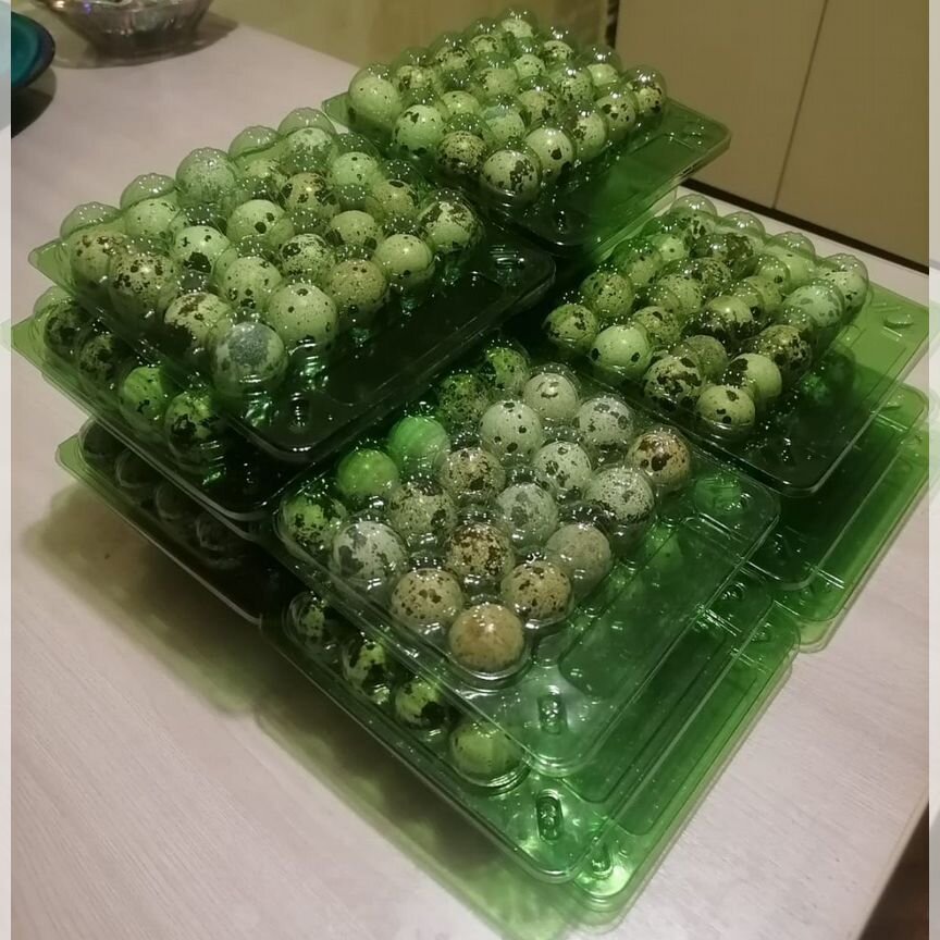 Инкубационное яйцо