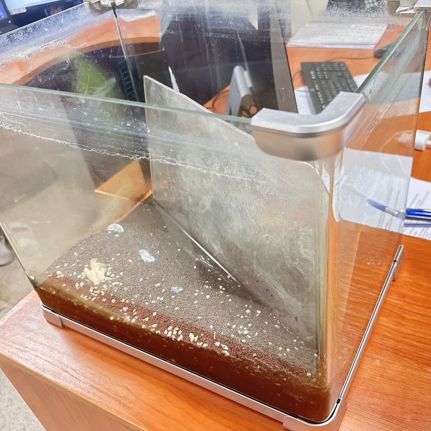 Аквариум с грунтом 35 л В дар