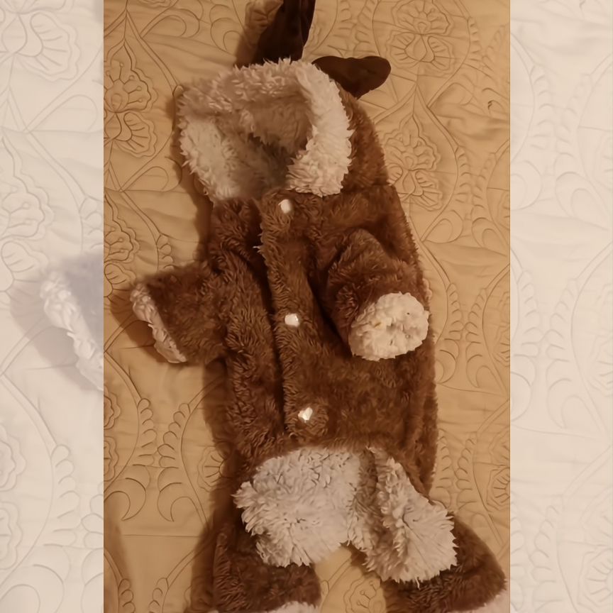 Одежда для собак