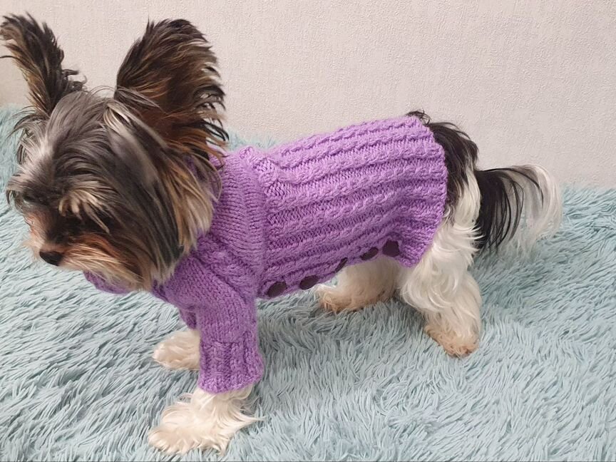 Одежда для собак