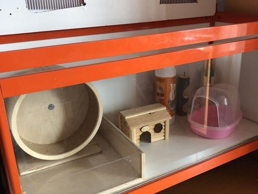 Продам витрину для хомяка с оборудованием