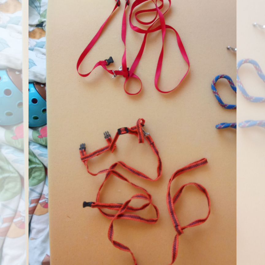 Поводки для кошек