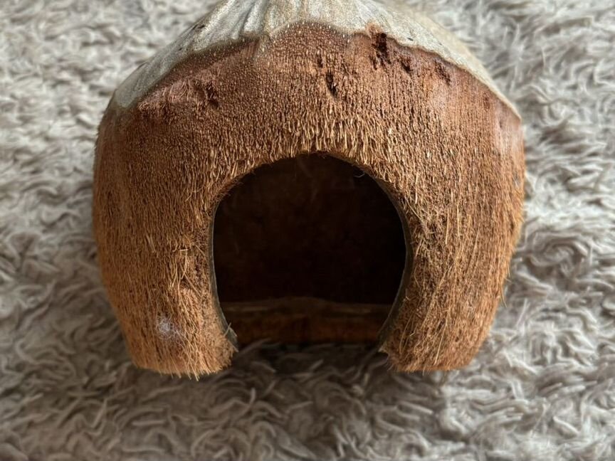 Кокосовый домик для грызунов