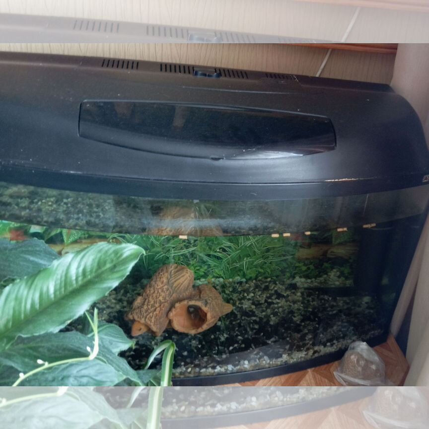 Aquael Pearl 120 литров