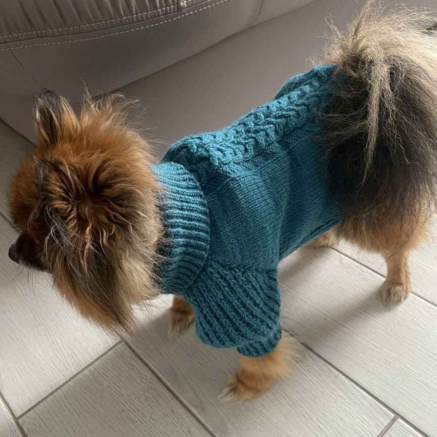 Одежда для собак