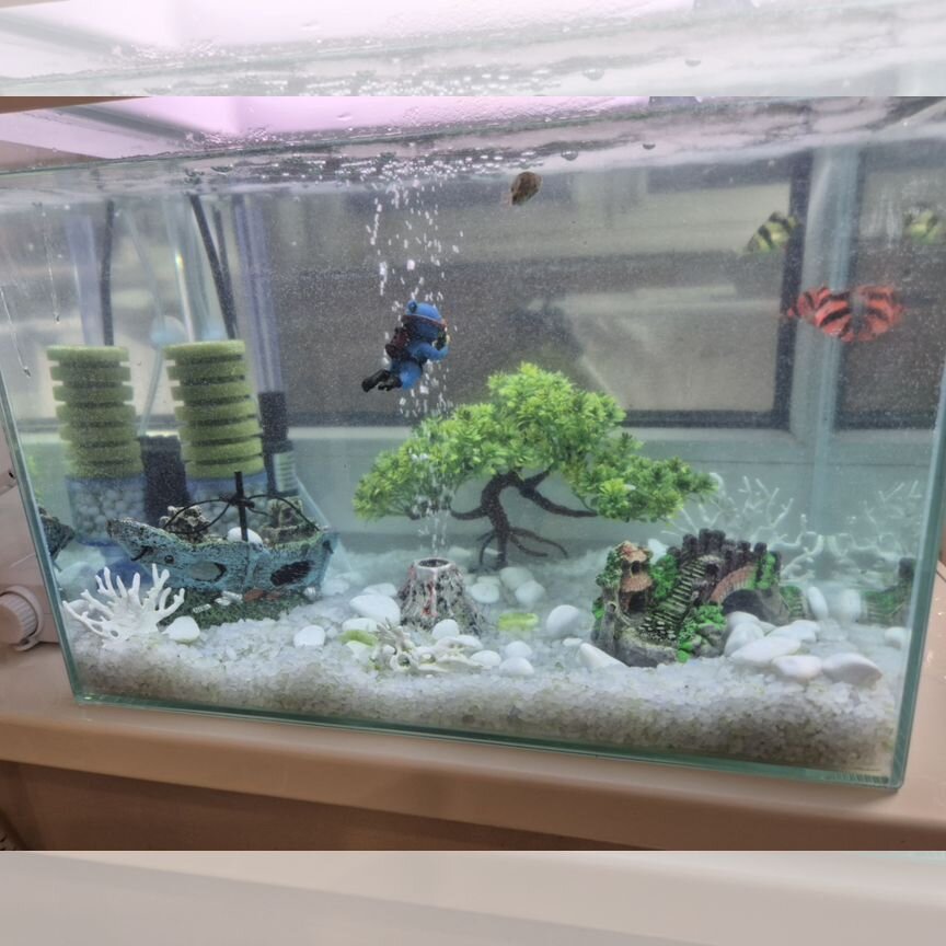 Аквариум 30л, с рыбками и всеми аксессуарами