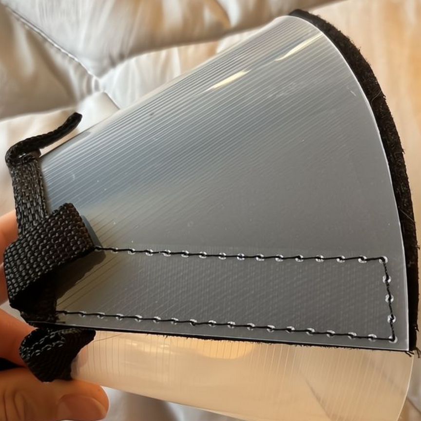 Защитный воротник для собак и кошек