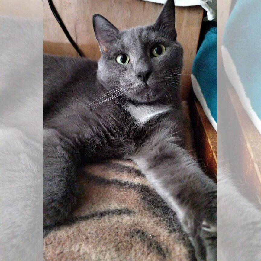 Бедолага Яша