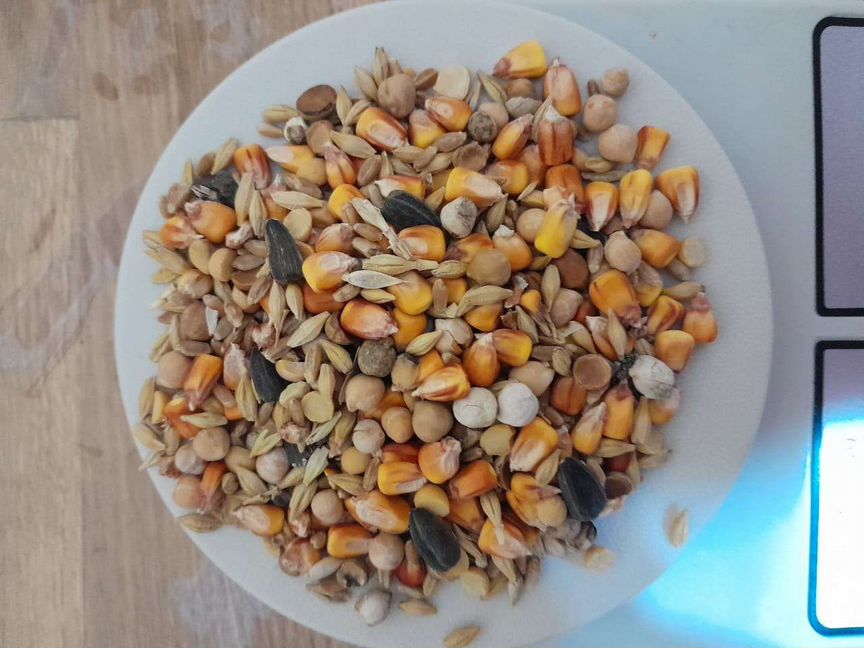 Зерносмесь (доставка)