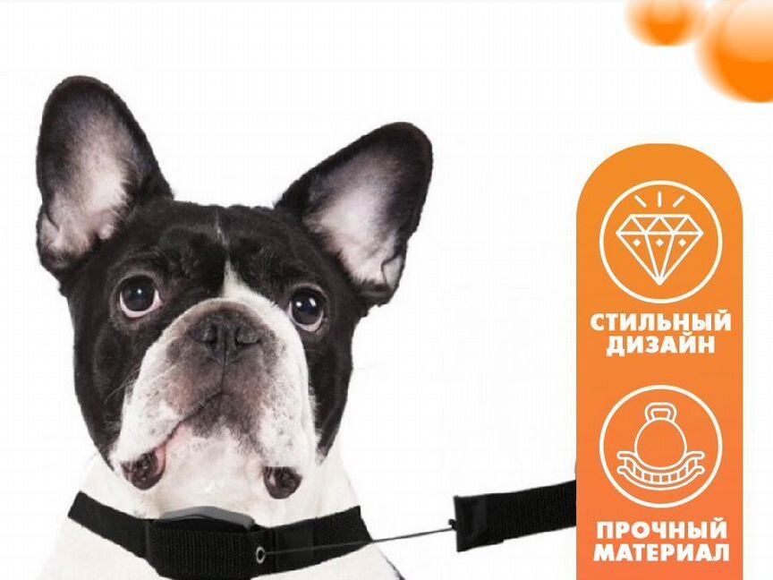 Регулируемый ошейник поводок/для собак