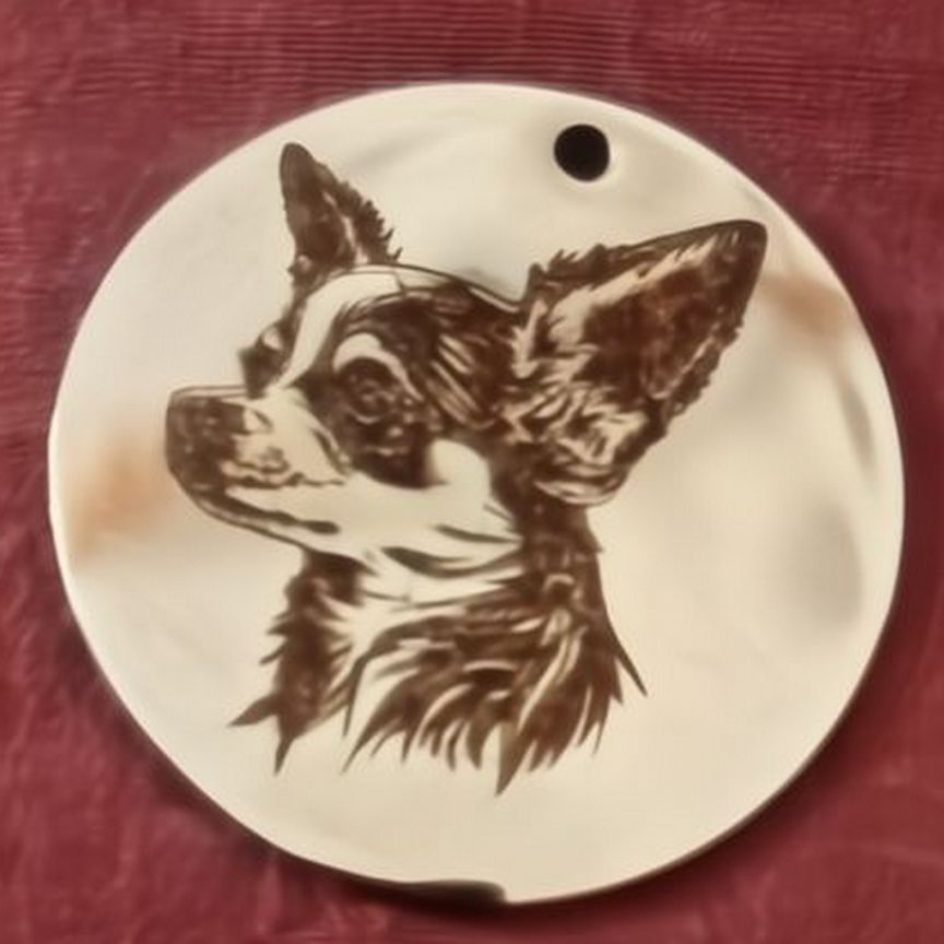 Адресник для питомца