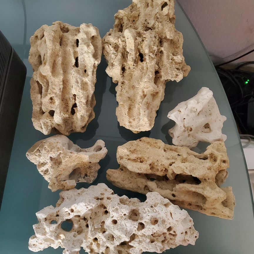 Камни декор аквариум,терраоиум за всё100 за шт