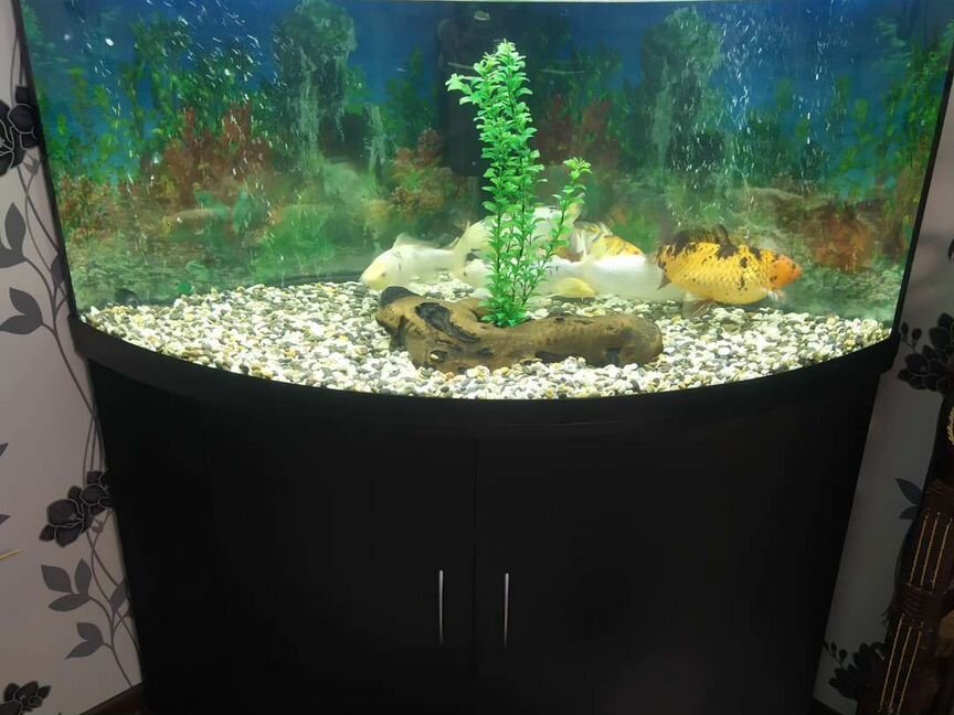 Аквариум 400л., фильтра, оборудование