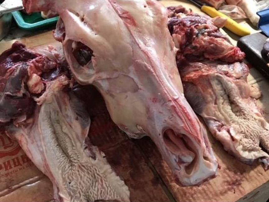 Отдам головные кости для собак