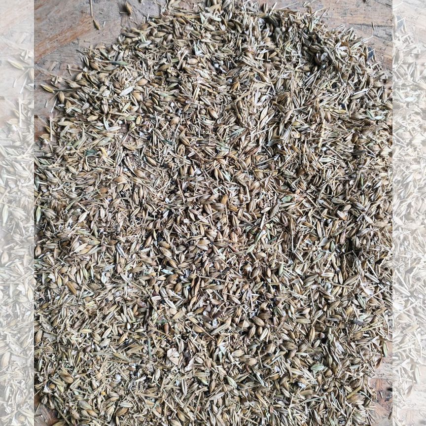 Отходы ячменные для барашка