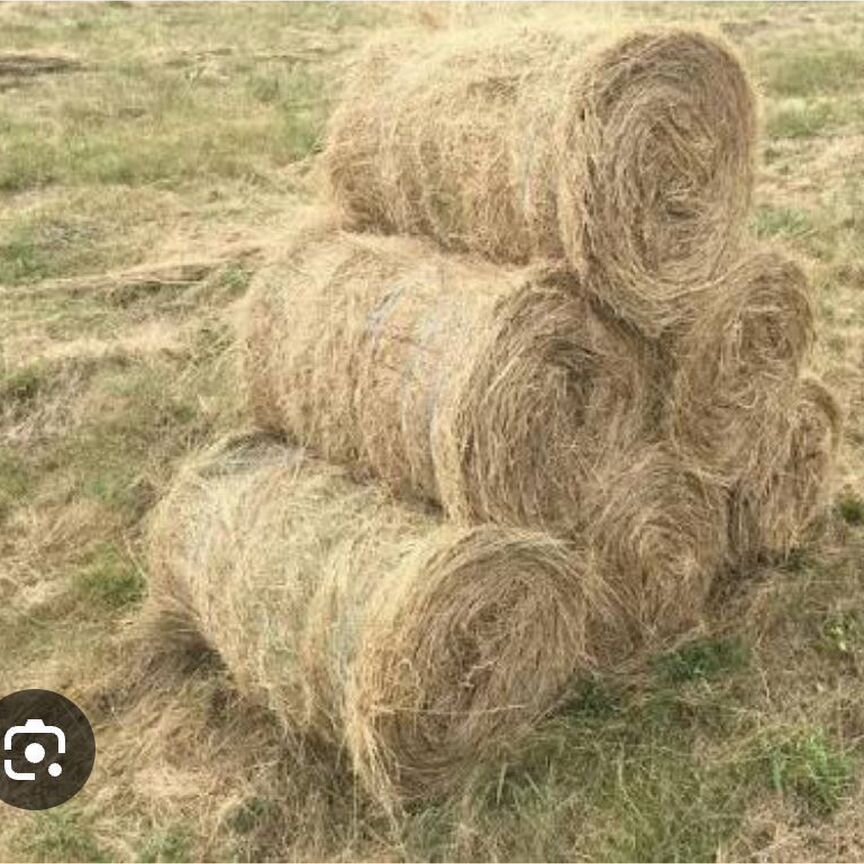 Солома в мини рулонах