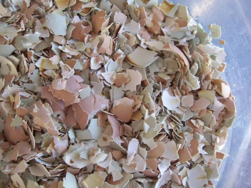 Куриная скорлупа