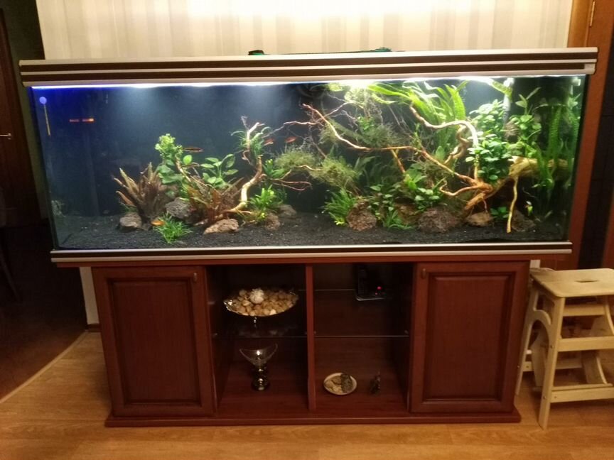 Аквариум aquatlantis evasion 830л