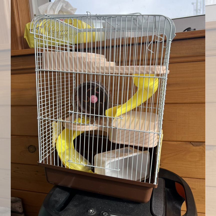 Клетка для грызунов