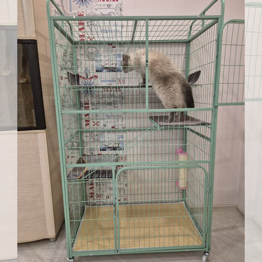 Клетка для кота, хорька