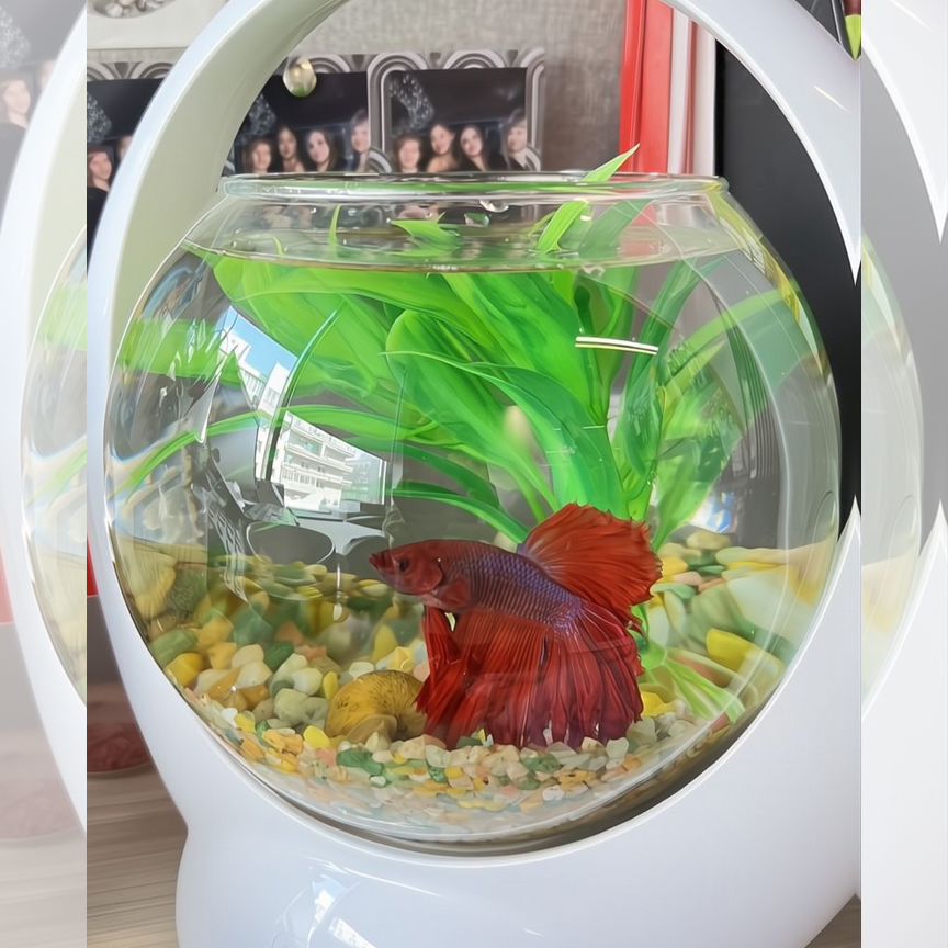 Аквариум Tetra Betta Ring 1,8 литра