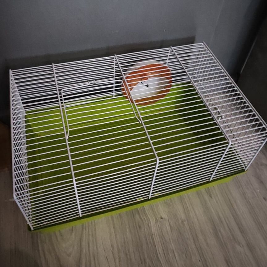 Контейнер (клетка) и колесо 13 см