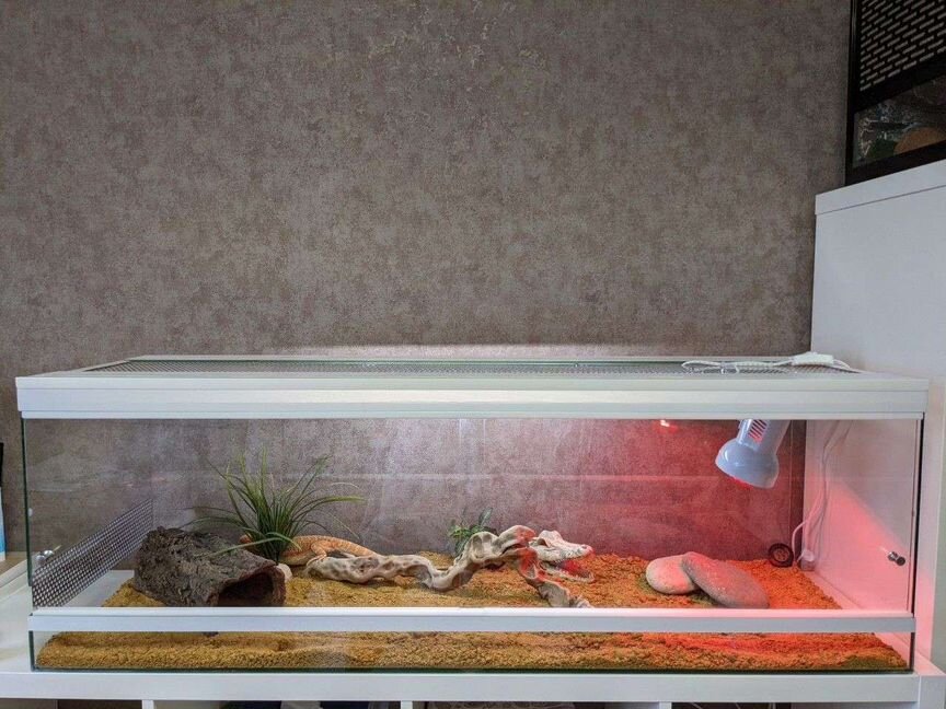 Террариум от производителя