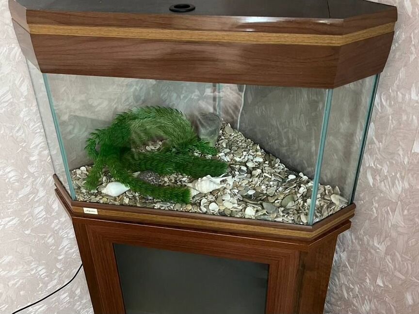 Аквариум с тумбочкой на 60 литров