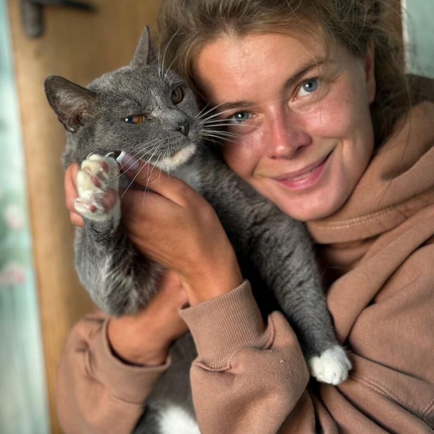 Котик в добрые руки