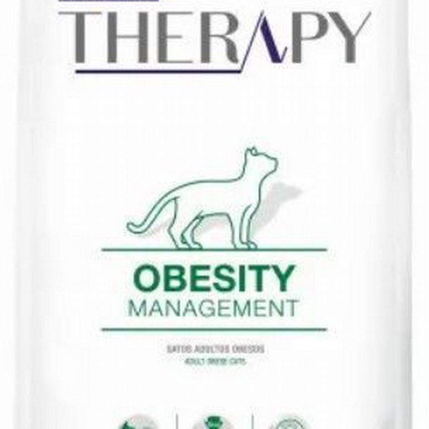 Сухой корм для кошек