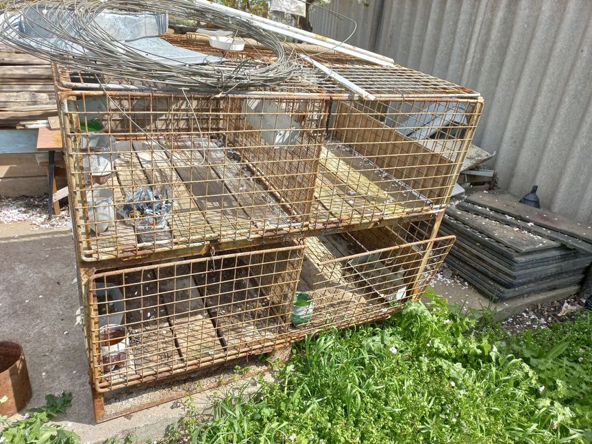 Клетка для кролей