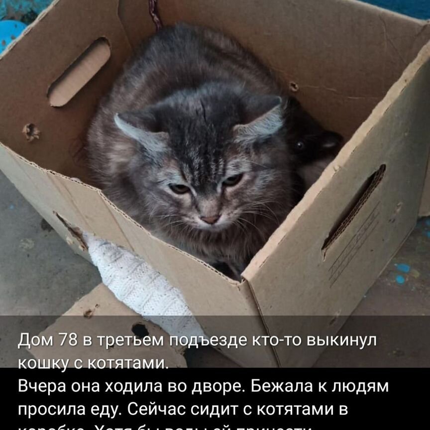 Нужны добрые ручки